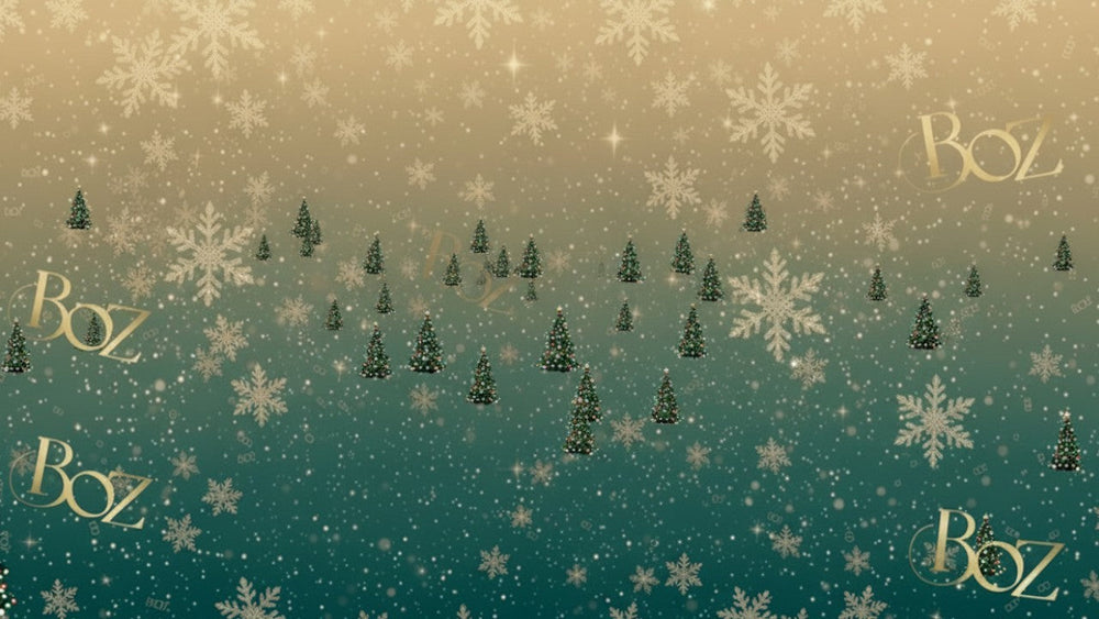 Collections – BOZ Jewelry